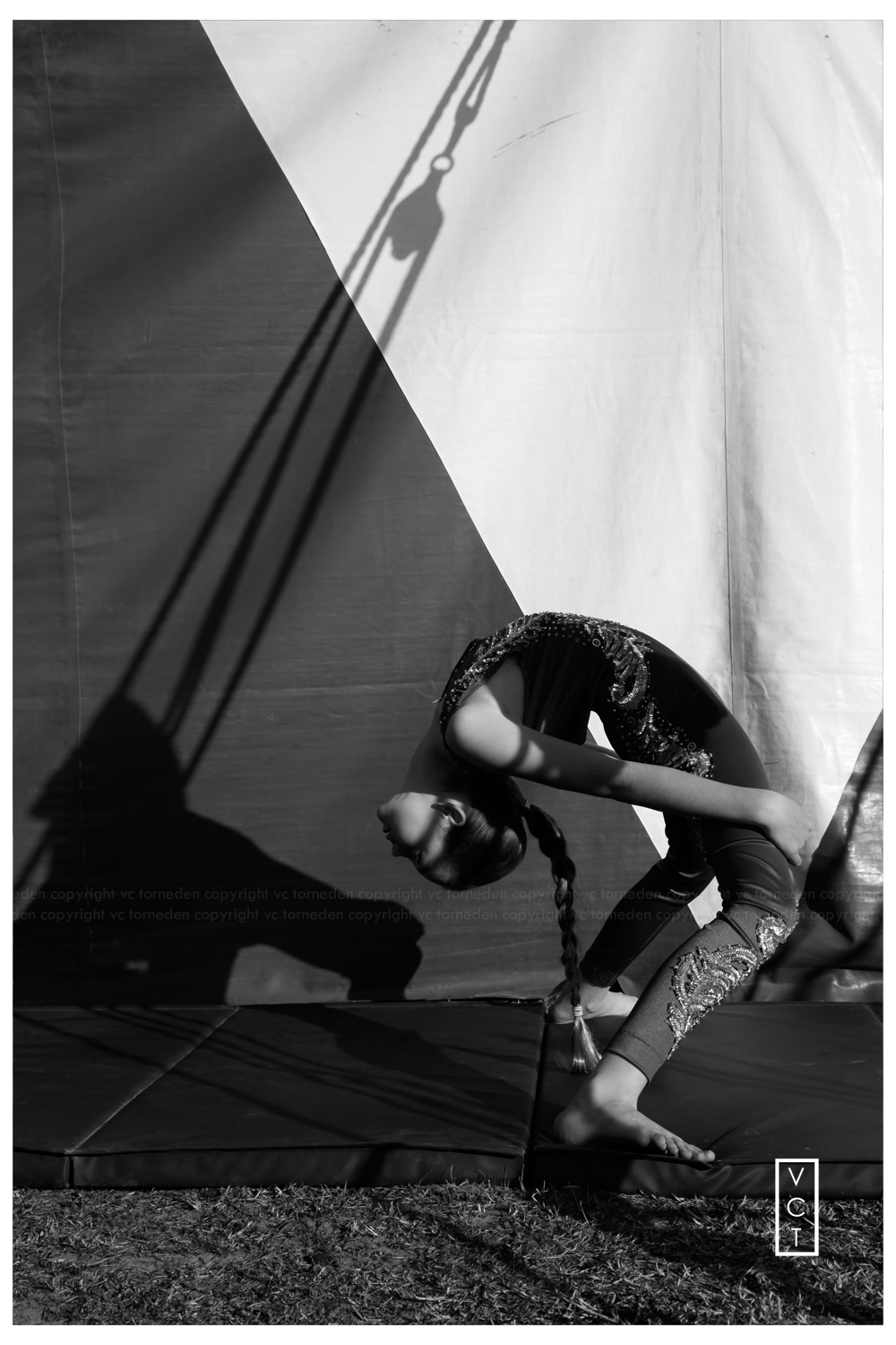 circus series